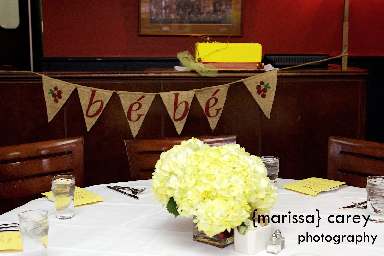 The Carey Family: Sara's baby shower