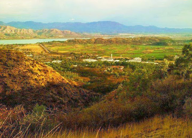 Topi: A Little About Topi