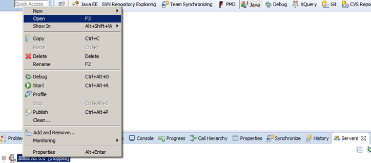 The Java and Alfresco World: Setting run time java properties for JBOSS launch configuration