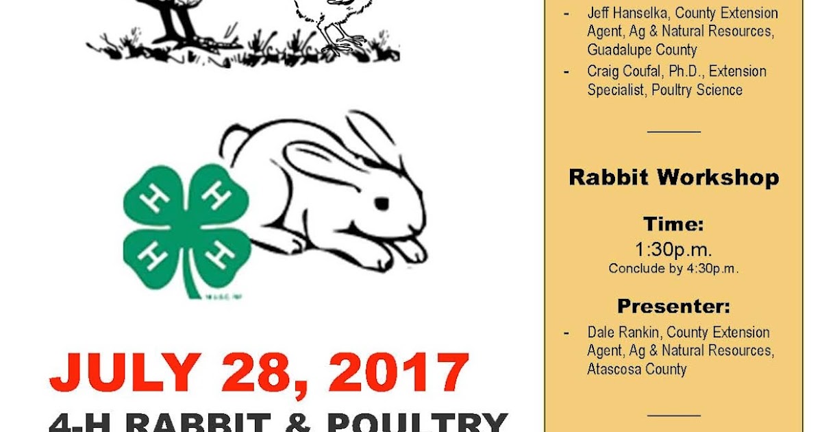 Caldwell County 4-H Blog: 4-H Rabbit & Poultry Management