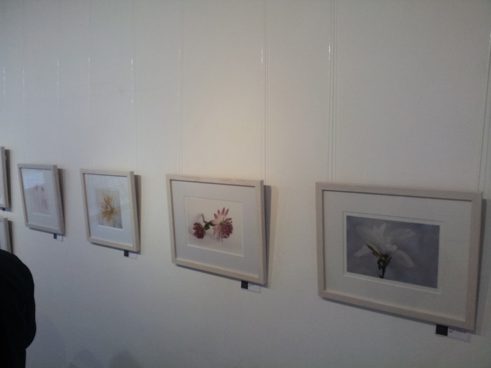 thanetonline: Cherry Larcombe Photographer Exhibition at The York ...