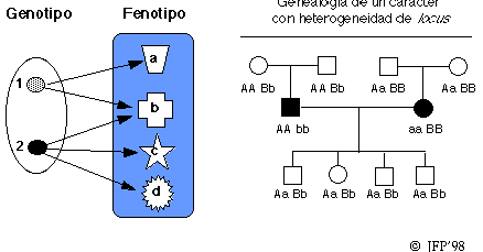 Genética y Biología Molecular : Heterogeneidad Genética