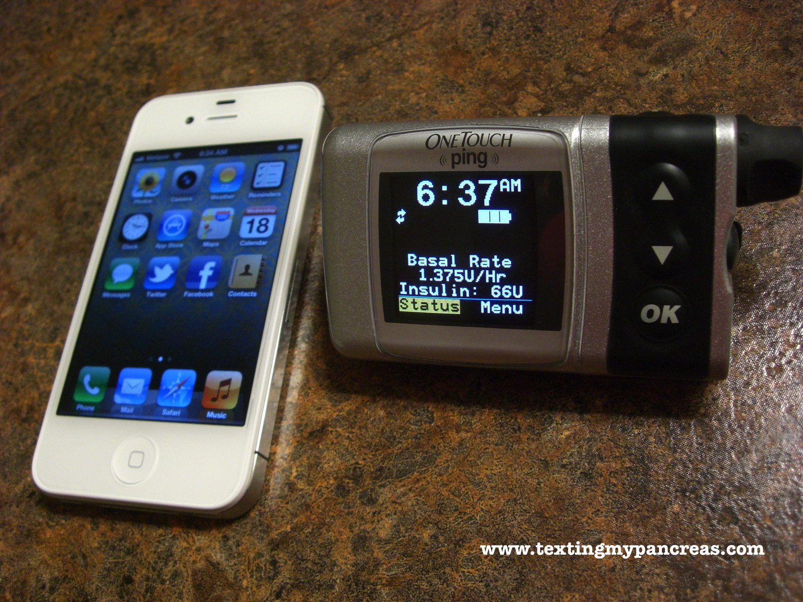 Texting My Pancreas: January 2012