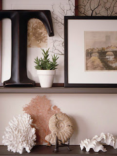 Myinfotogo-decor: Decorating With Seashells