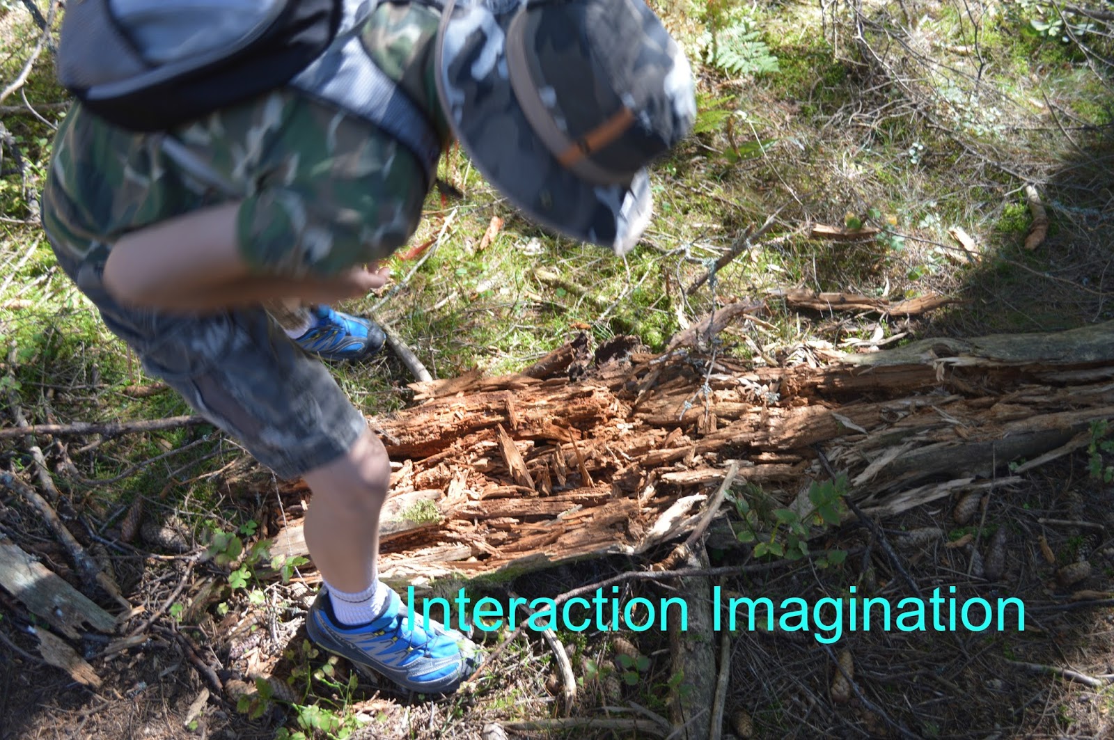 Interaction Imagination: Virgin Forest Exploration