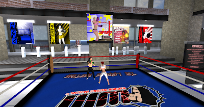 Boxing in Second Life: It's a real knockout –Sarahelisebeth Brenham ...