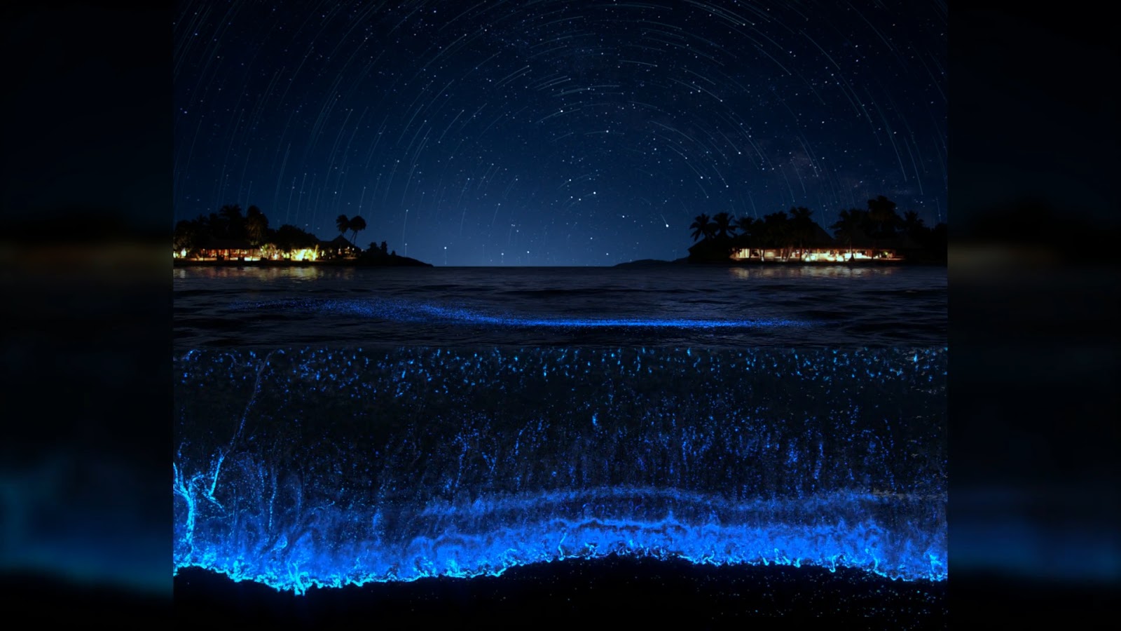 VFX Making of “Sea at Night” | Computer Graphics Daily News