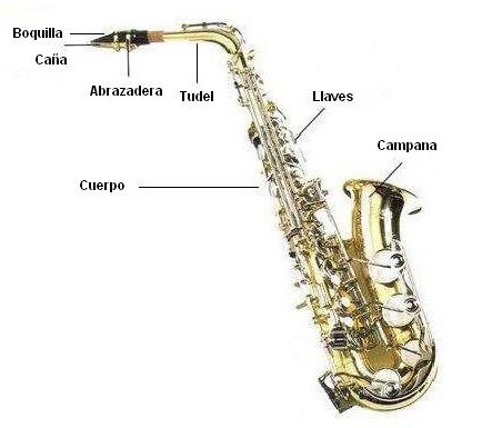Entre instrumentos nos vemos: El saxofón: Un bello instrumento de ...