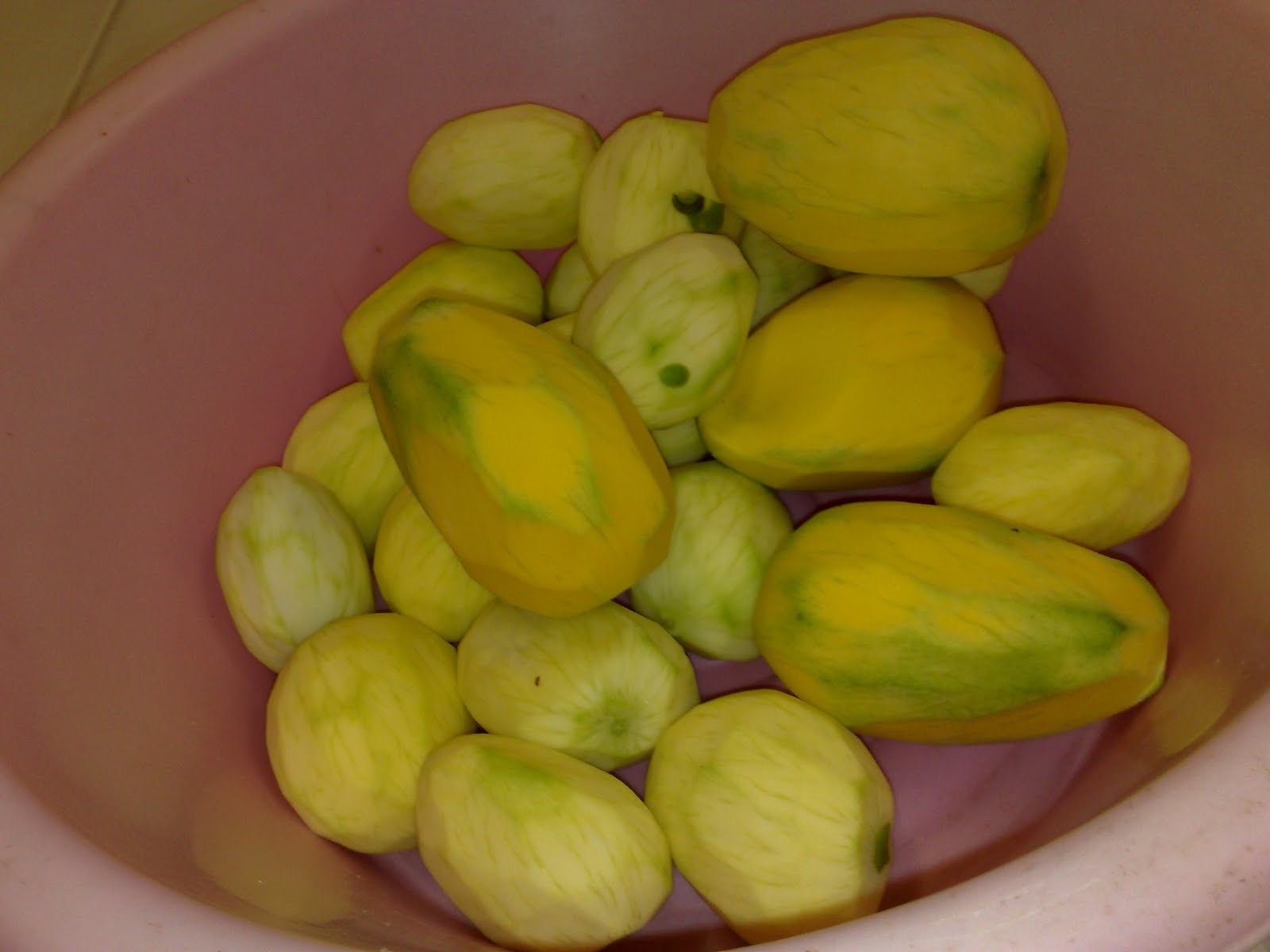 di sini bermula: jeruk pauh homemade