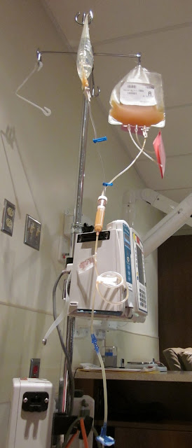 jm's Adventure with Multiple Myeloma: Relapsed High-Risk Myeloma ...