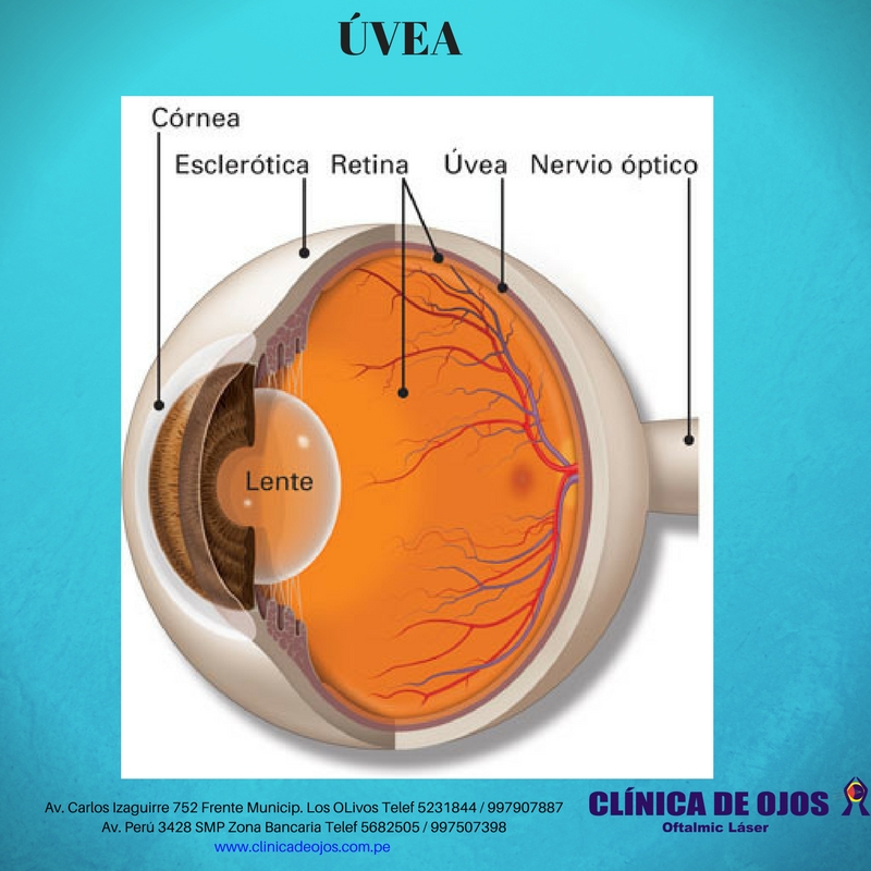 Clínica de Ojos Oftalmic Láser: ÚVEA