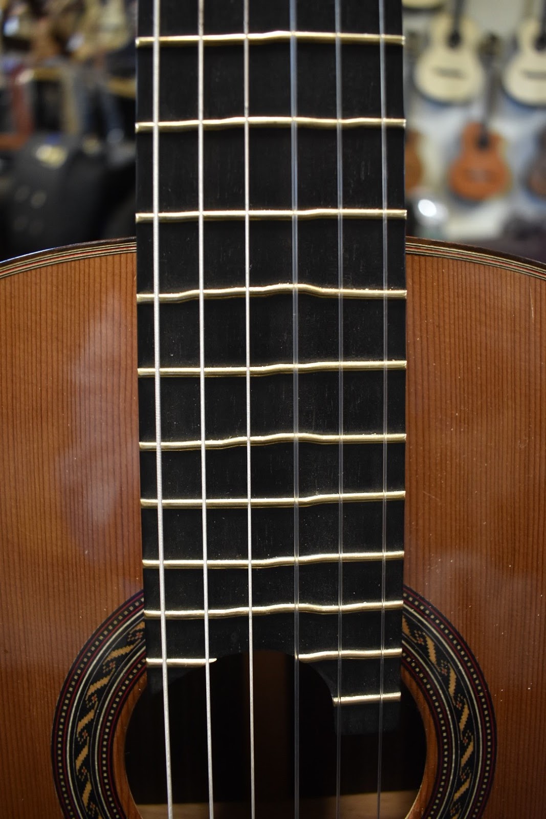 Hill Guitar Co.: Get To Know Our True Temperament Model