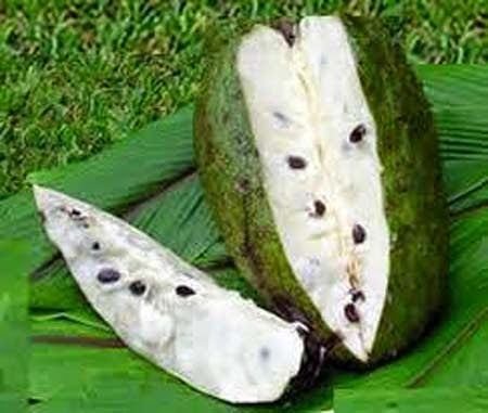 TUNDA LA STAFERI KUPONYA MARADHI YA KANSA (CANCER) | LIWALE BLOG GuidePedia