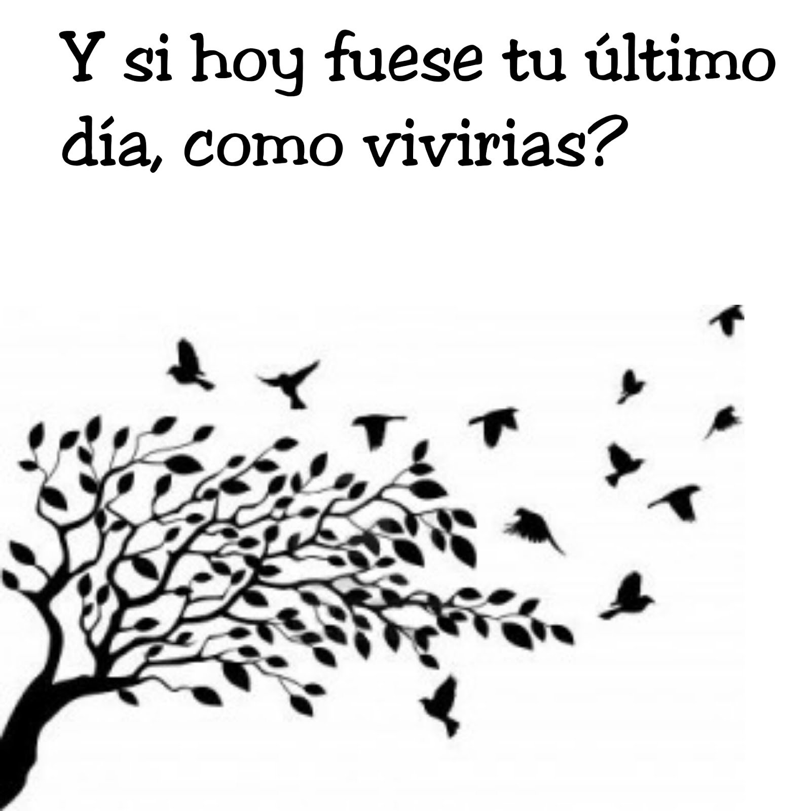 Vive En Armonia: Y SI HOY FUESE TU ULTIMO DÍA!