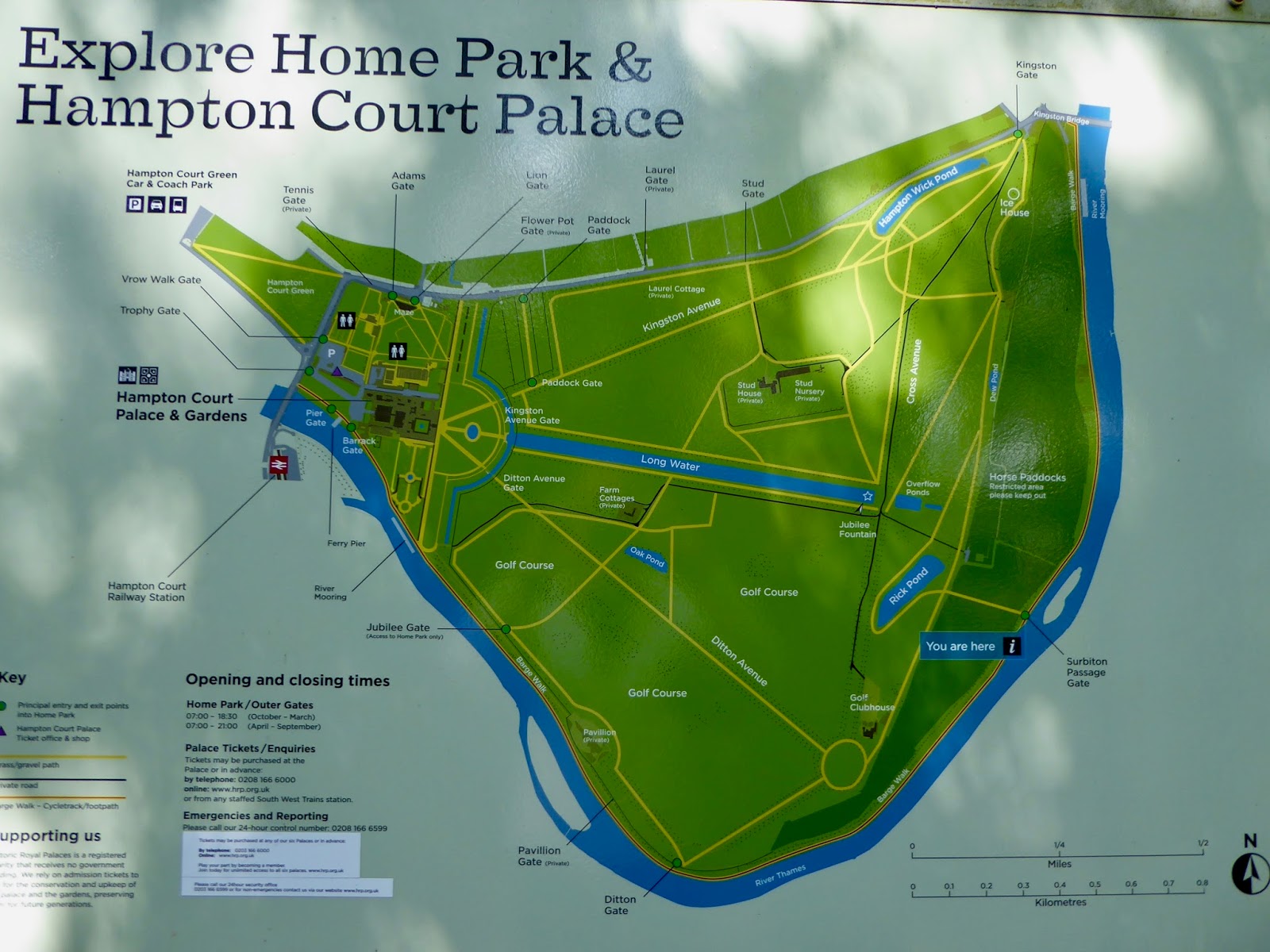 Wide Beam - Still Rockin': A walk in the park ...