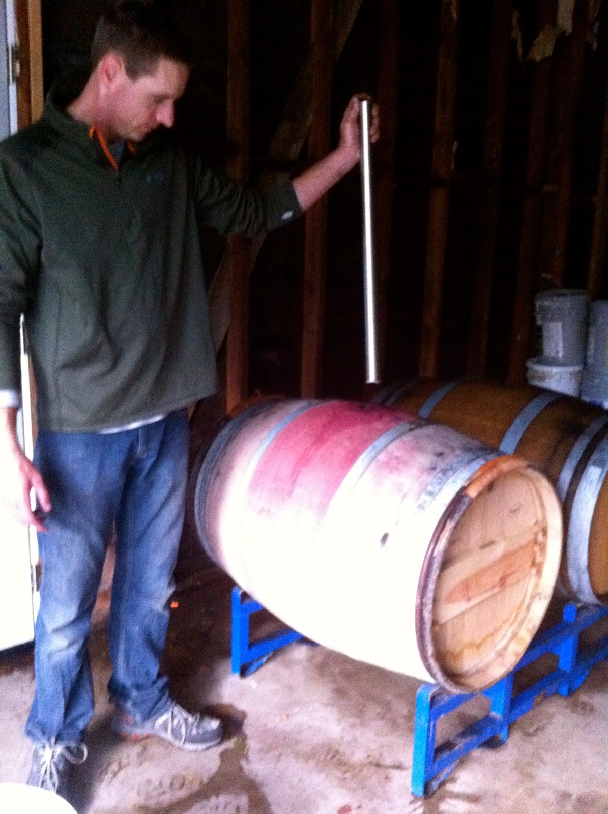 Fake Plastic Barrels: Barbera Drain and Press