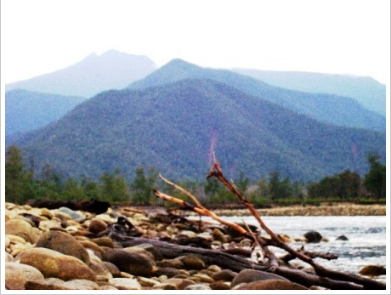 Riszky Nurseno: Morowali Nature Reserve, Central Sulawesi