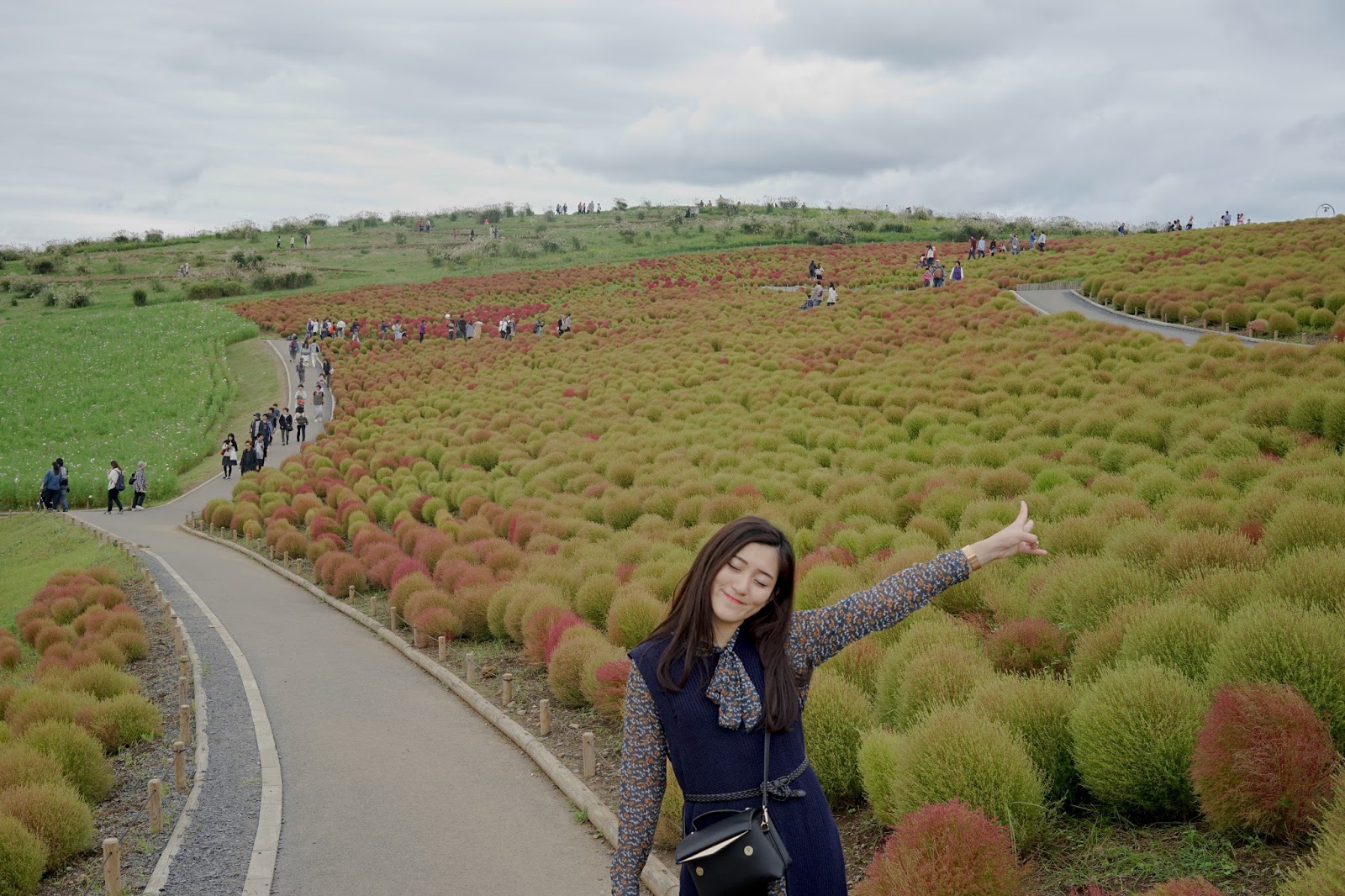 [ Hitachi Seaside Park ] | SERENELETICIA