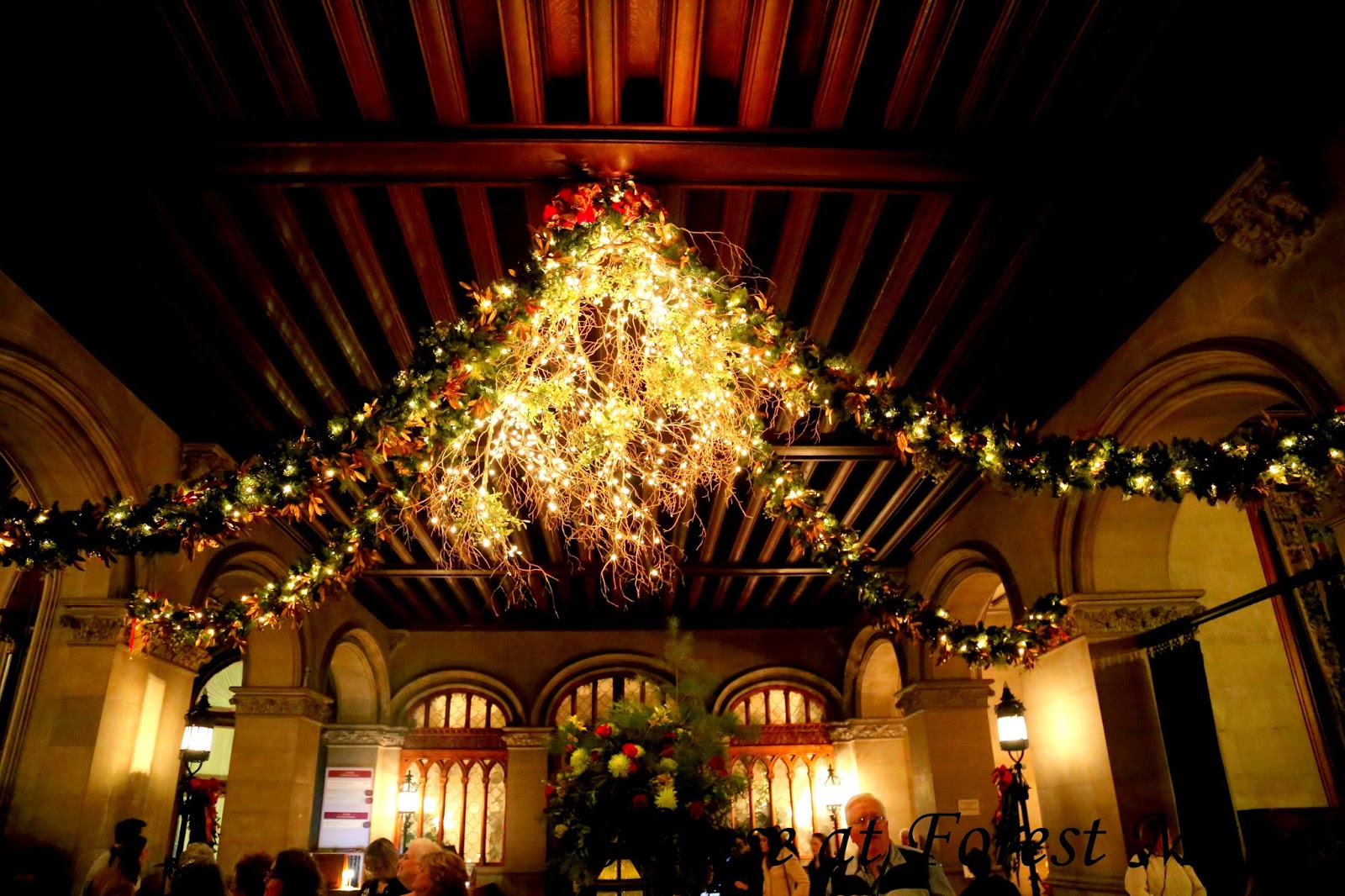 House at Forest Manor: Biltmore House, 2016 Christmas Candlelight Tour