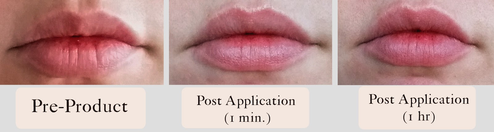 On Living History: All's Fair- LBBC Fine Honey Lip Pomatum