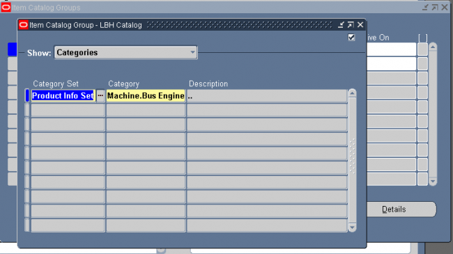 Oracle Inventory Flexfields Implementation « Learn Oracle