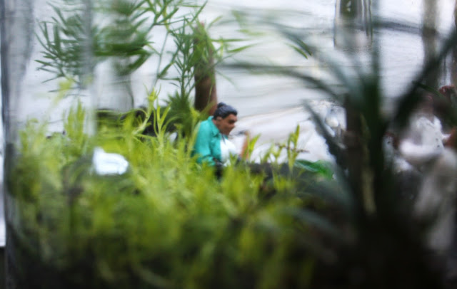 J Mcconnaughhay Design