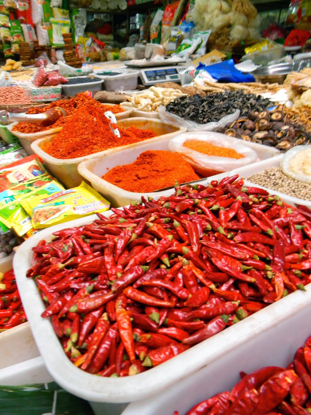 Abby's Travel Log: On Sichuan Cuisine