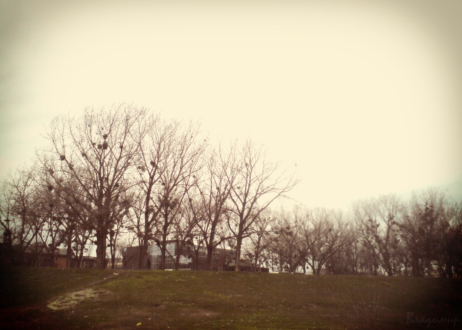 novi sad fotografije: Šetalište kej i plaža Štrand