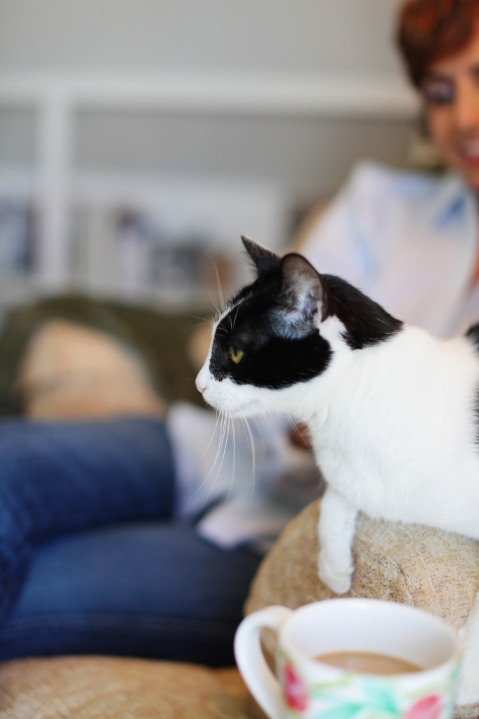 1000+ images about Dreama T. PERRY~Artist on Pinterest