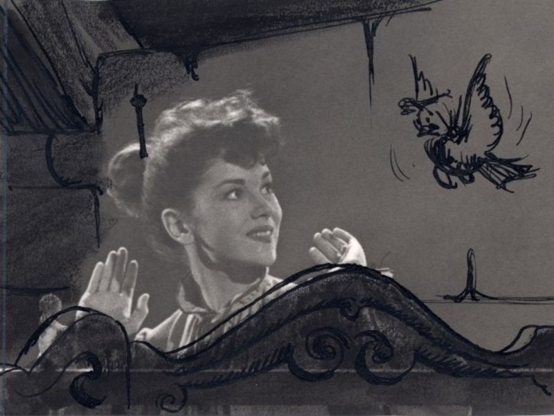 Rhoda Williams Cinderella