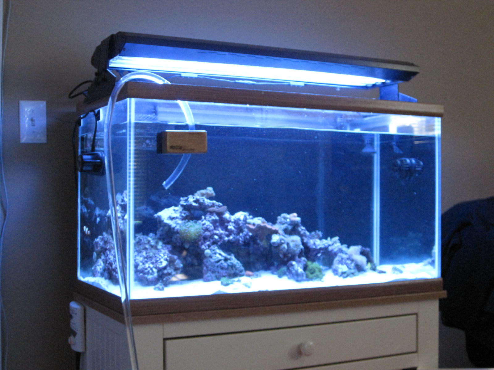 Chromis' Reef: Marineland Maxi-Jet 1200 Pro Powerhead