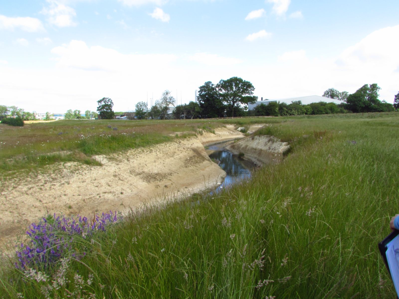 Biodiversity Gatwick: Turf wars