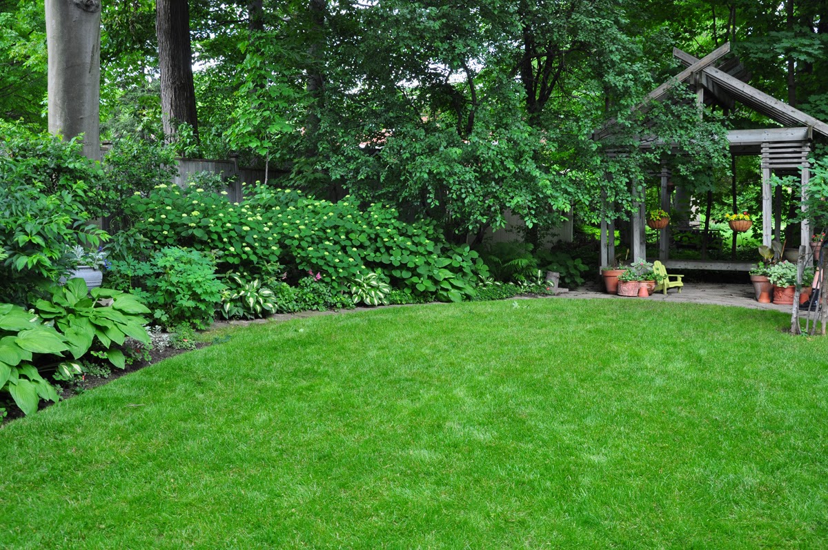 Three Dogs in a Garden: Using Lines to Advantage in a Garden Setting