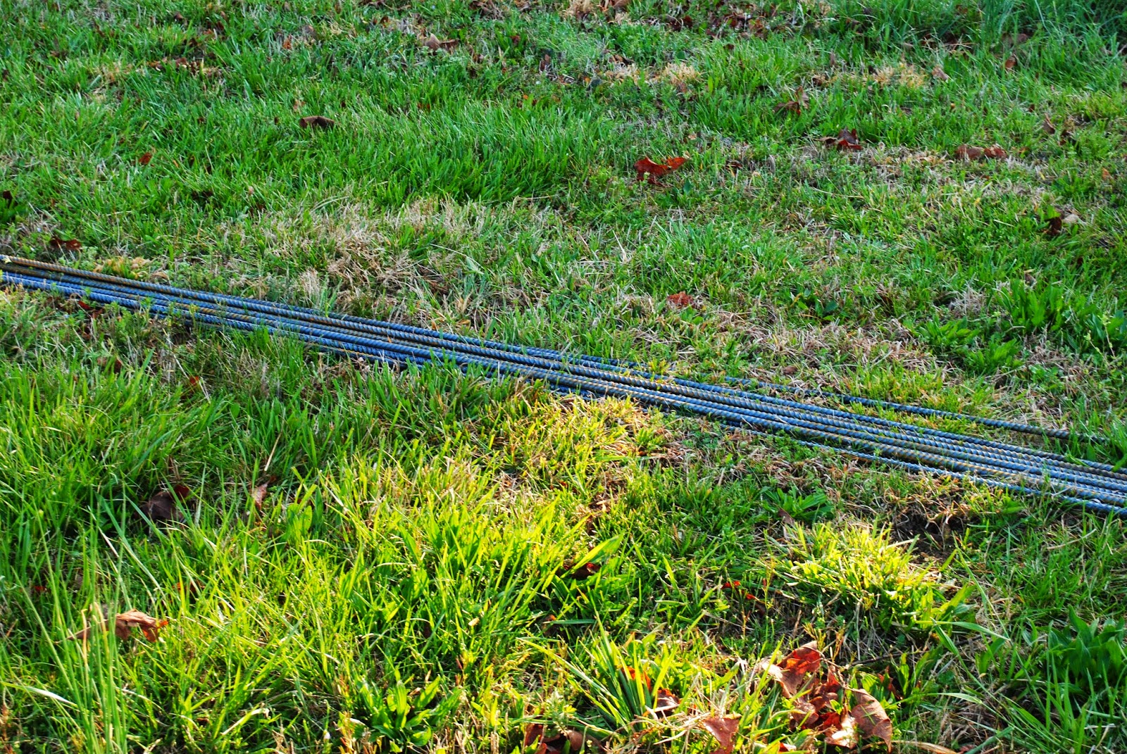 Adventures on Zephyr Hill Farm: DIY Rebar Grape Arbor
