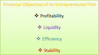 Financial Objectives of An Entrepreneurial Firm - Profitability ...