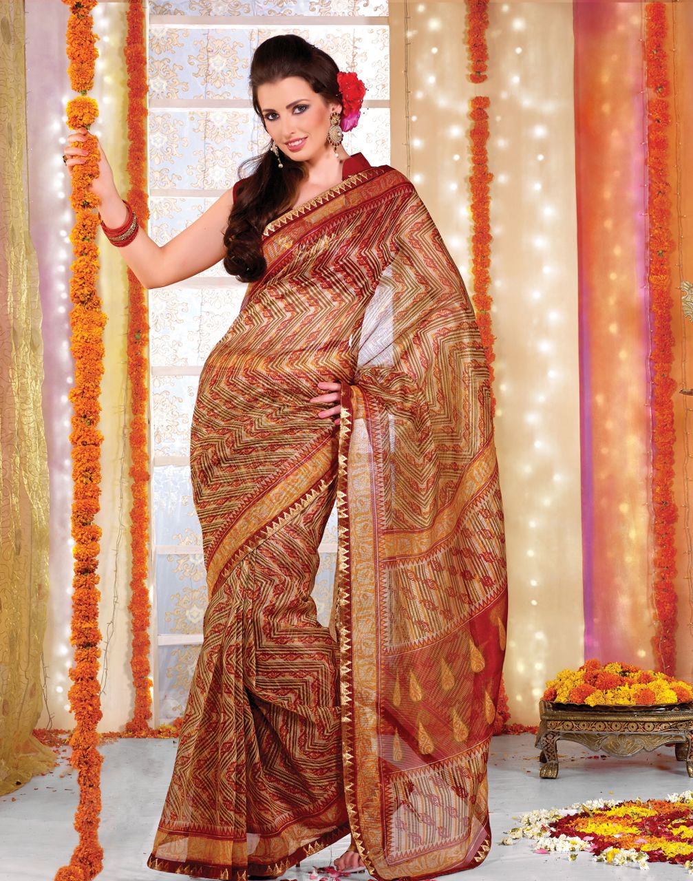 a saree a day: Sheer Sarees