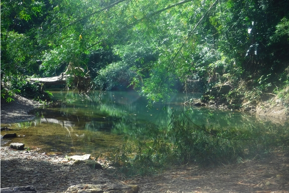 Hiking Avocat Waterfall and Three Pools - Trinidad north coast hikes