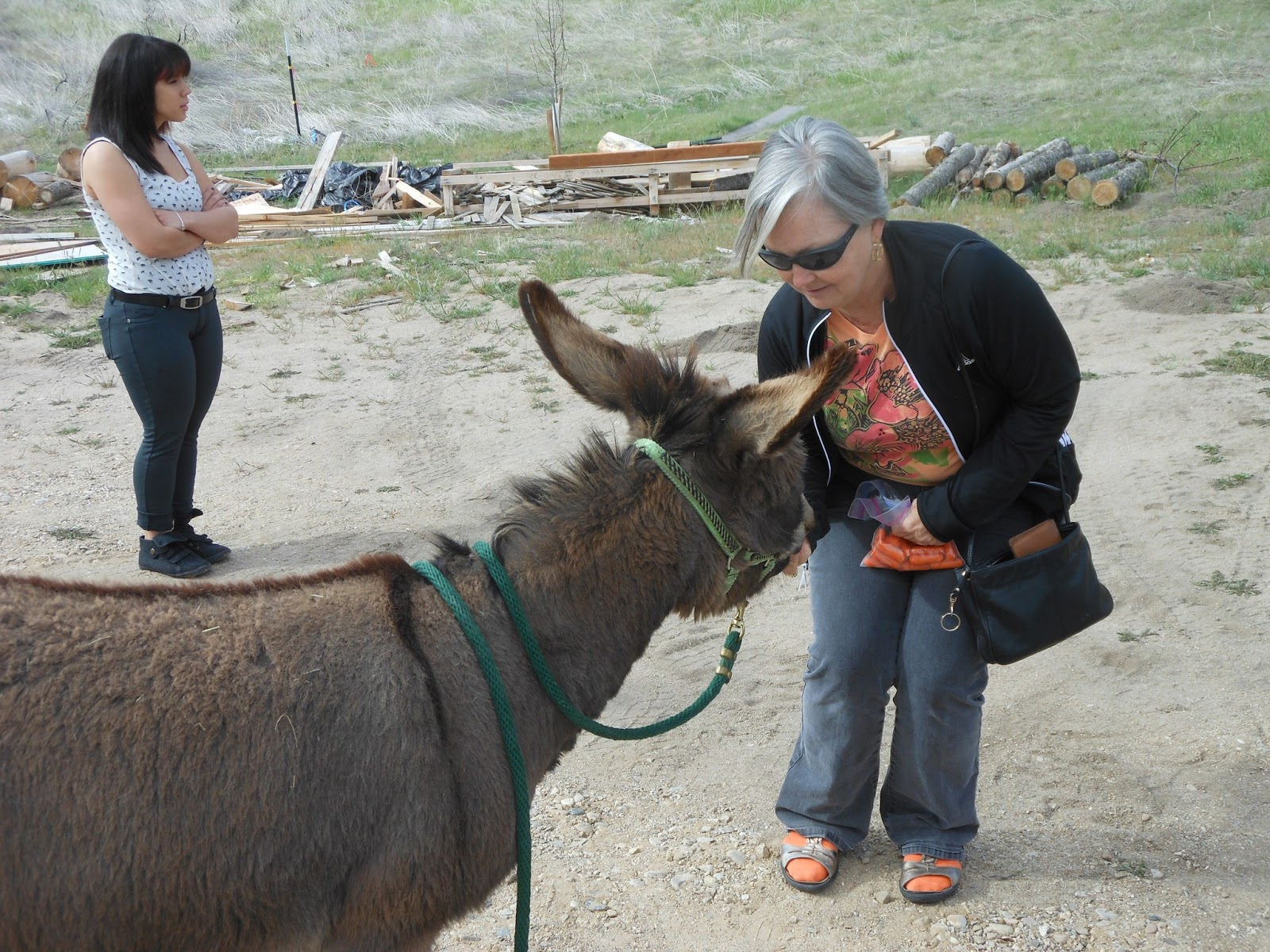 The Jacob Springs Hillbillies: Donkey Delivery!
