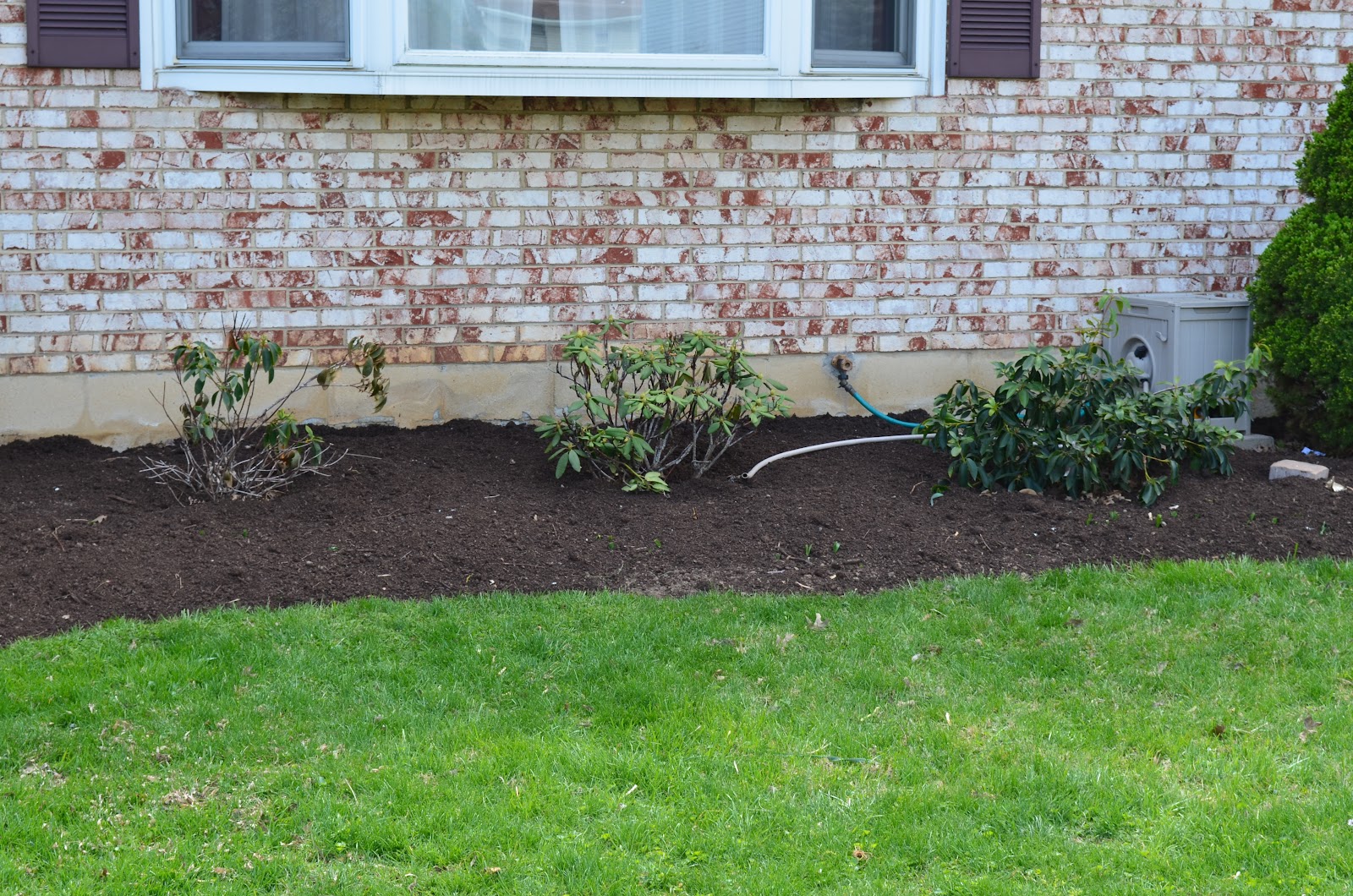 Front Yard Landscaping: Spring Clean Up! - Family Balance Sheet