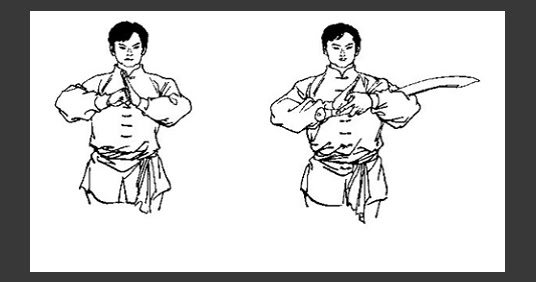 NORMAS DE COMPETICIÓN WUSHU: TAOLU WUSHU TRADICIONAL