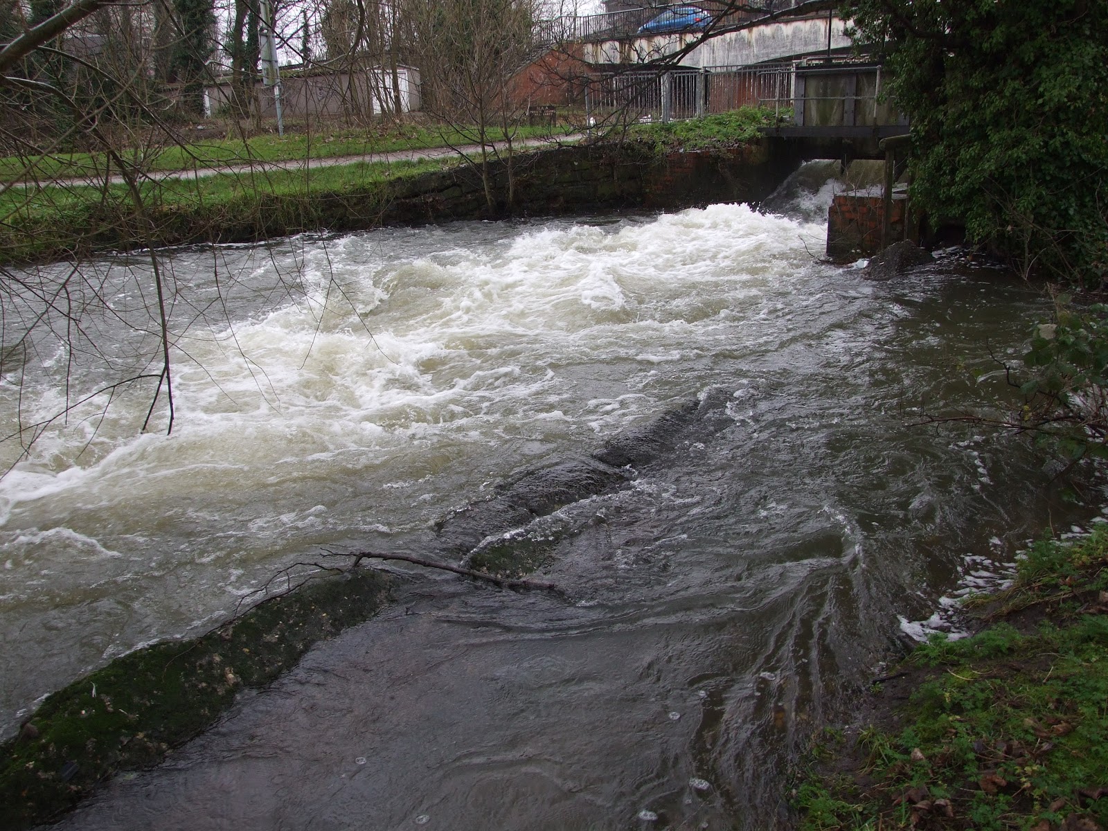 Canoeing and Kayaking on The River Kennet: Water levels up and down the ...