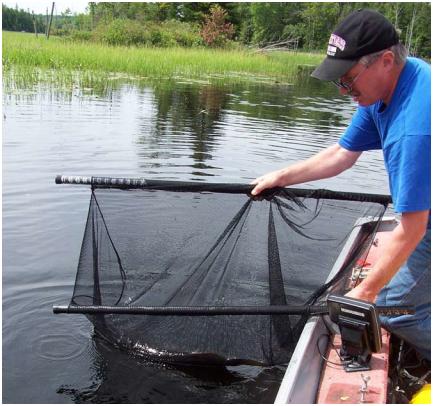 The Cottager's Guide to Conservation: Sustainable Fishing