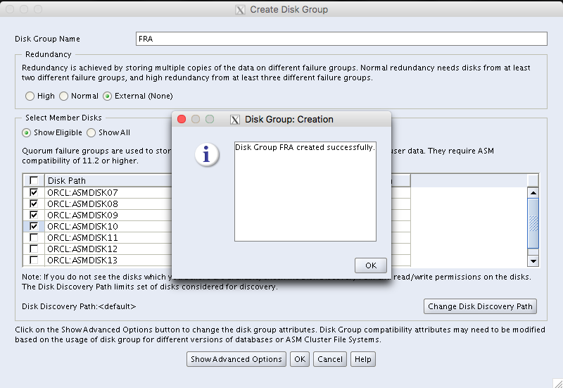 Asm Disk Group Configuration With Asmca ~ Dillis Oraclemysql Linux Blog