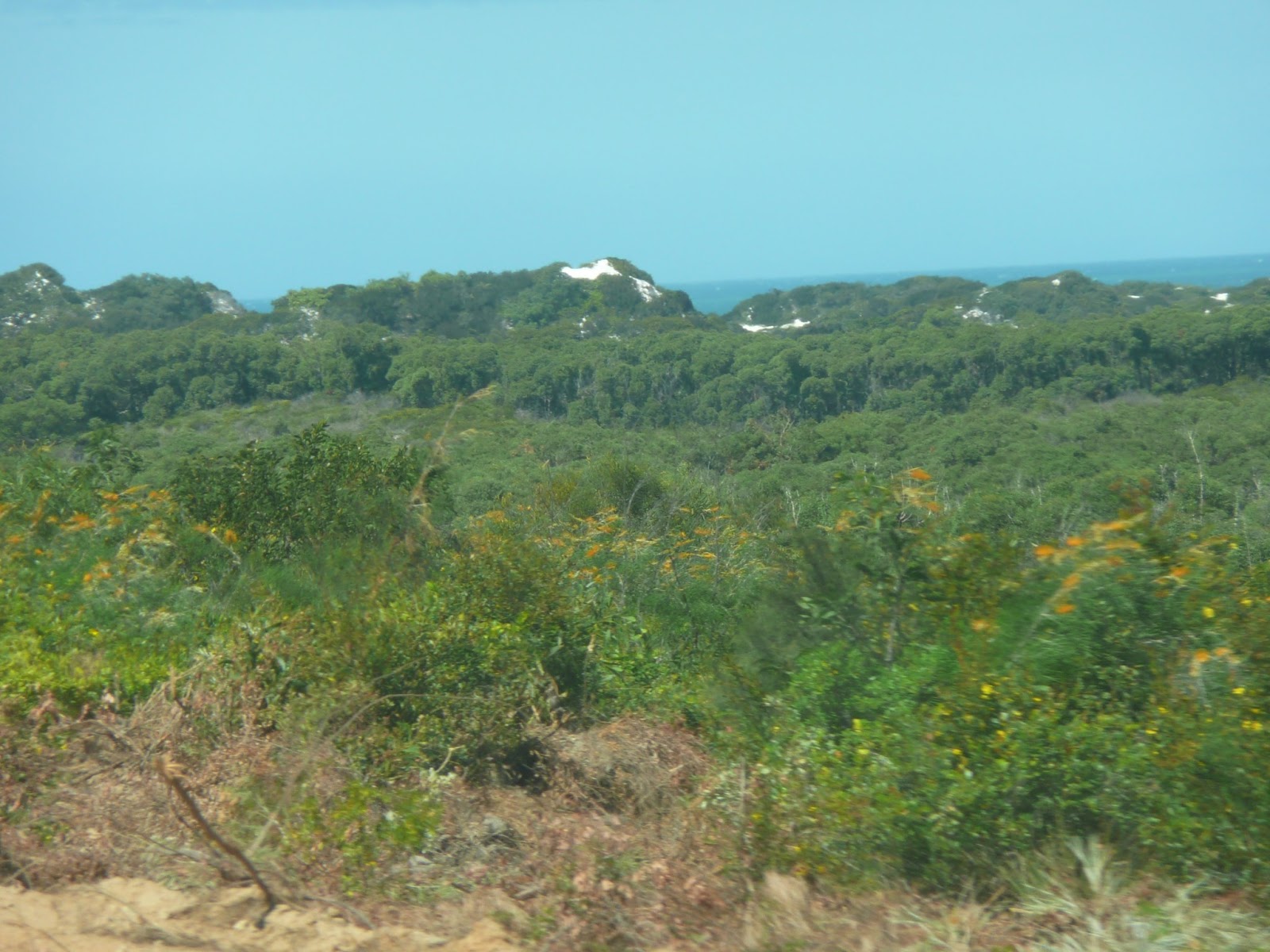 MobileMarshies: COOKTOWN - PART THREE (1 - 10 JULY 2013)