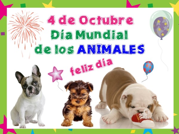 Maribel Sansano: Queridos amigos, hoy 4 de Octubre se celebra el Día ...