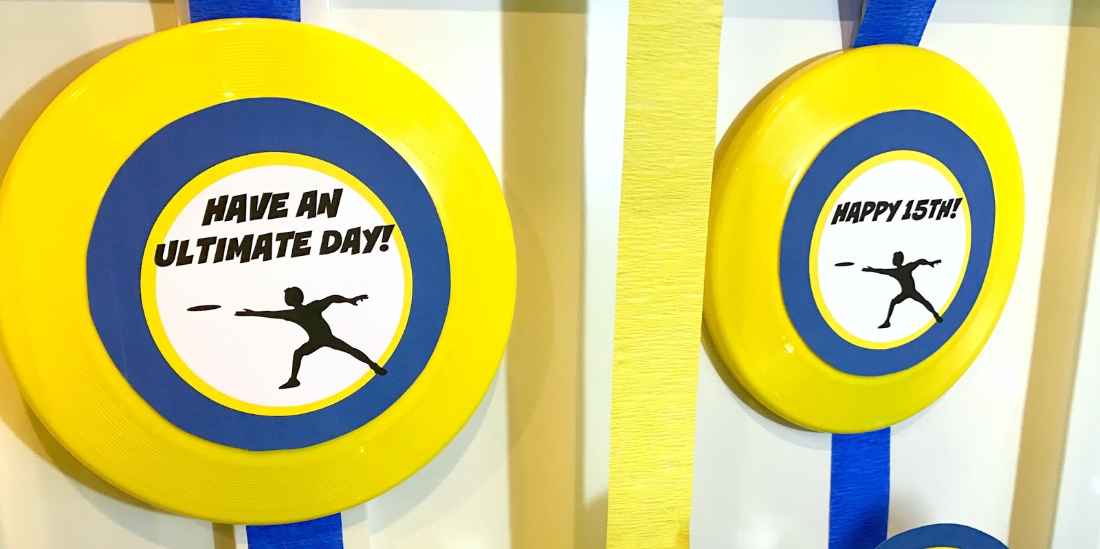 michelle paige blogs: Ultimate Frisbee Party