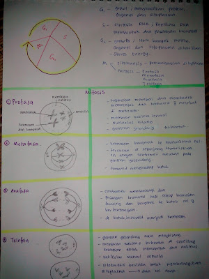 BIOLOGY SKETCH NOTES
