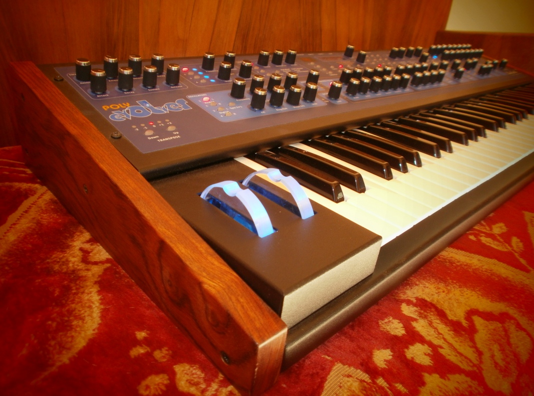 Voodoo Kramer: DAVE SMITH INSTRUMENTS SYNTH DSI POLY EVOLVER EDIZIONE ...