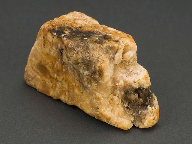 Excrément de baleine, le précieux ambre gris ~ Oceanica