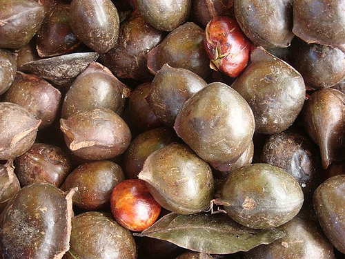 Secubit rahsia @ Secukup rasa: Jom Masak Rendang jering